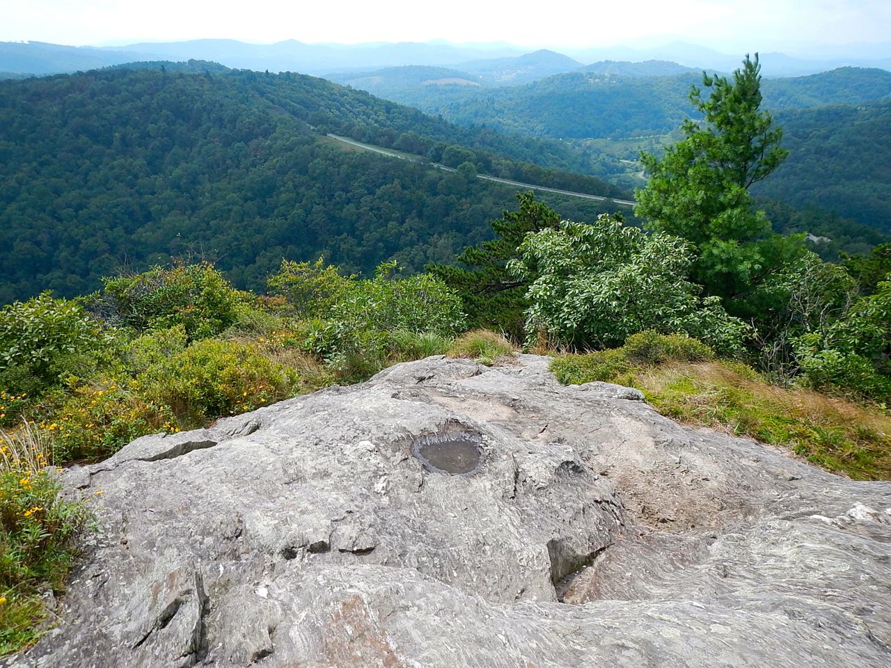 AlligatorBackView-BL | Blue Ridge Dayhiking